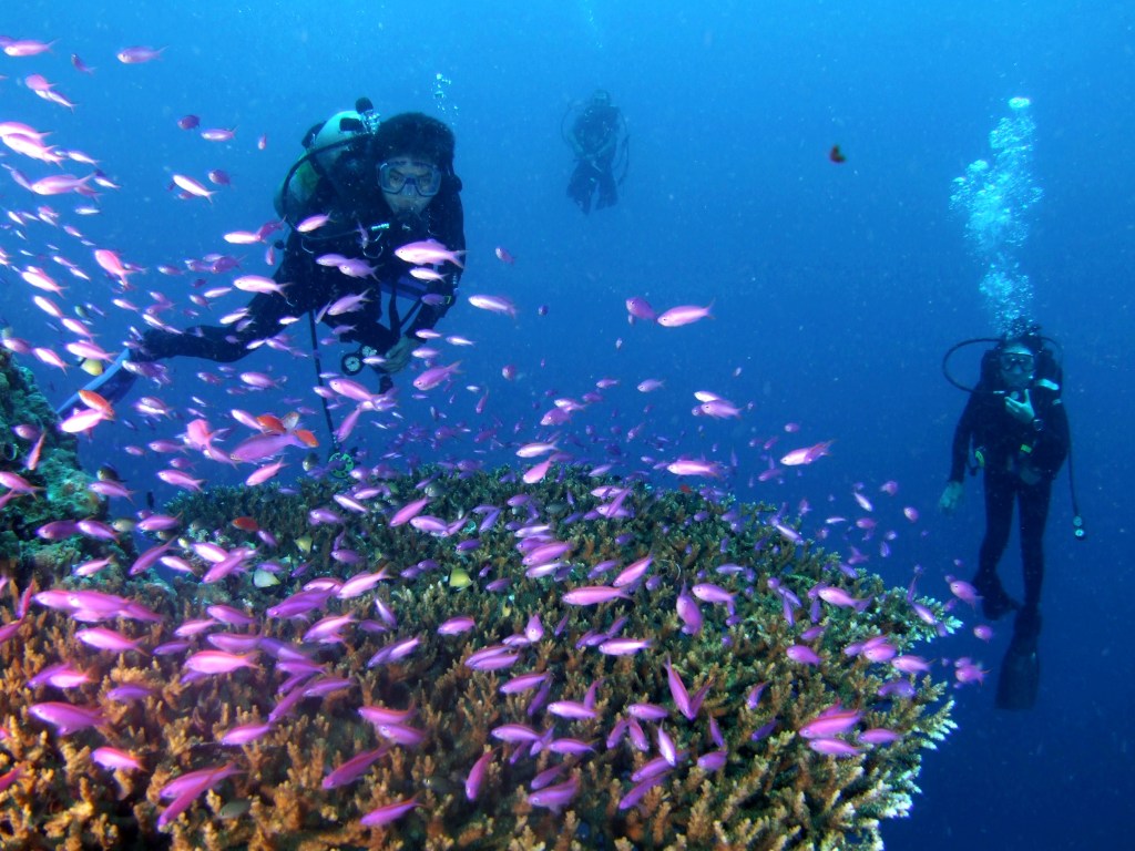 Return to Mantangale! – Life in the Great Beyond